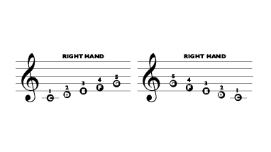 Call and Response (ECHO) | Keyboard Lesson Plans | Music Will