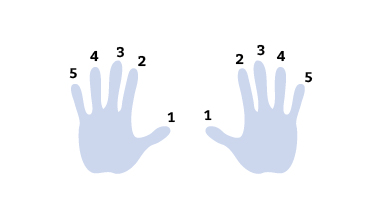Finger Numbers | Keyboard Lesson Plans | Music Will
